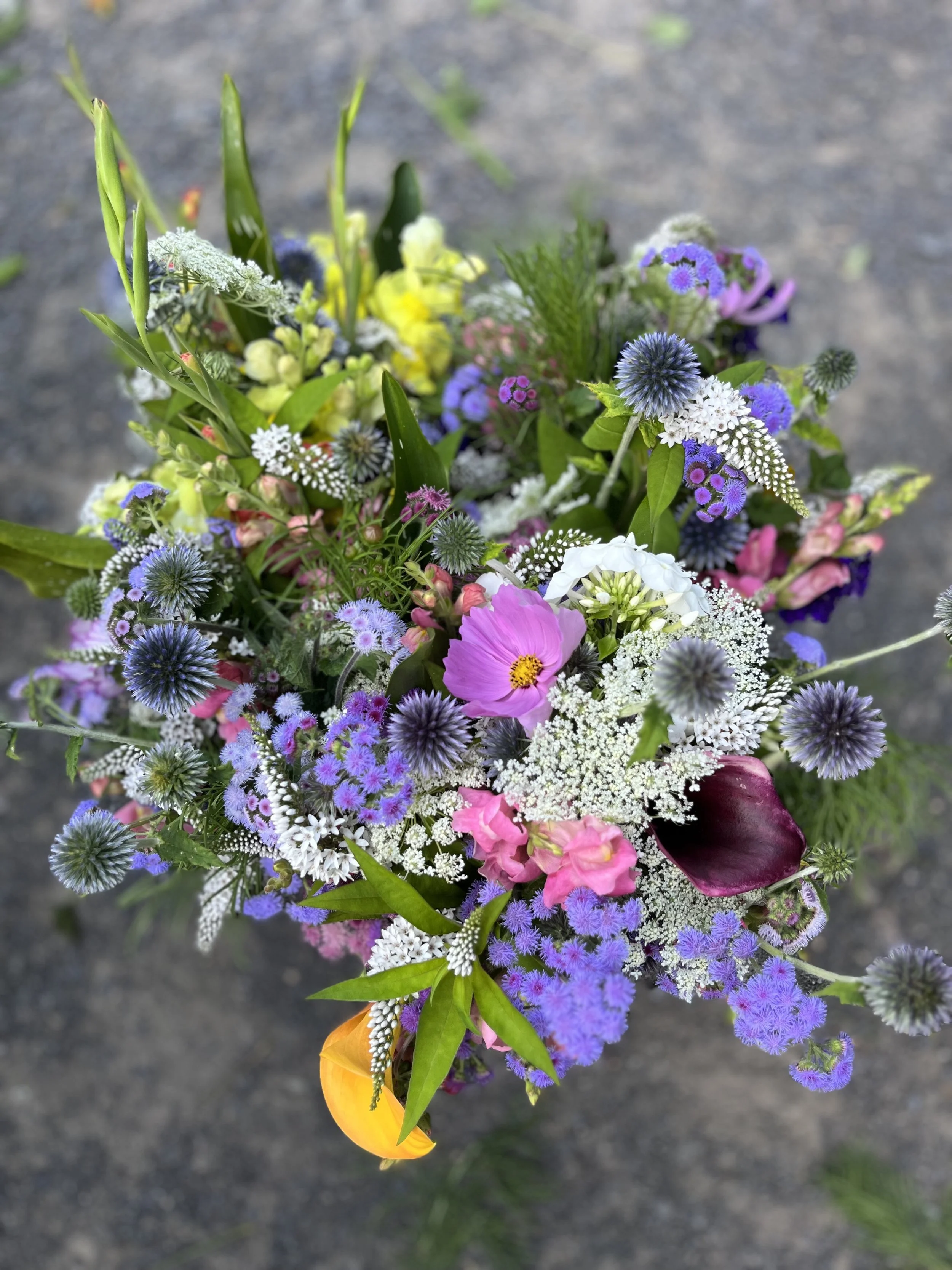 Flower Arrangements, Sustainably Grown, Local Delivery!
