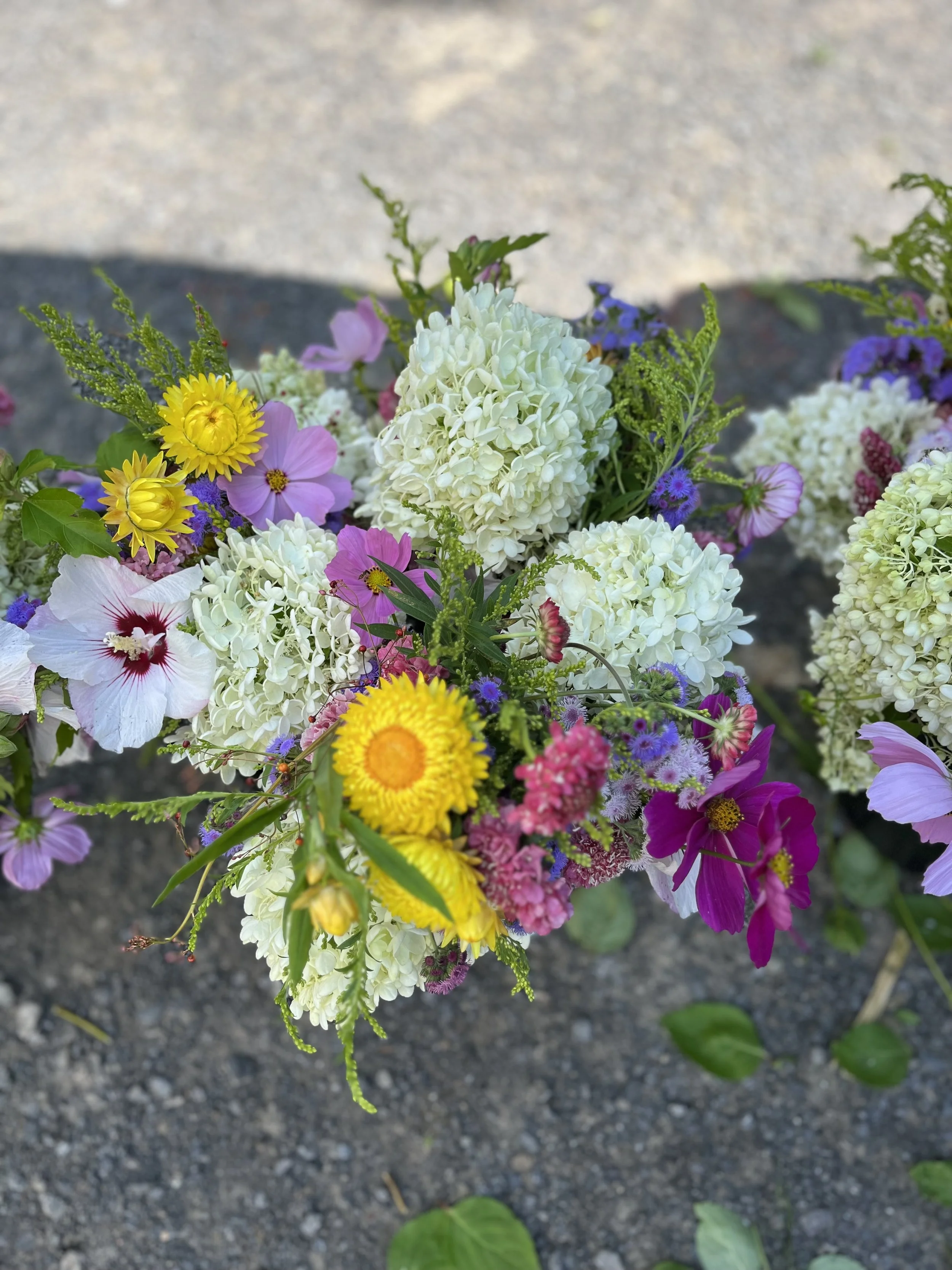 Flower Arrangements, Sustainably Grown, Local Delivery!