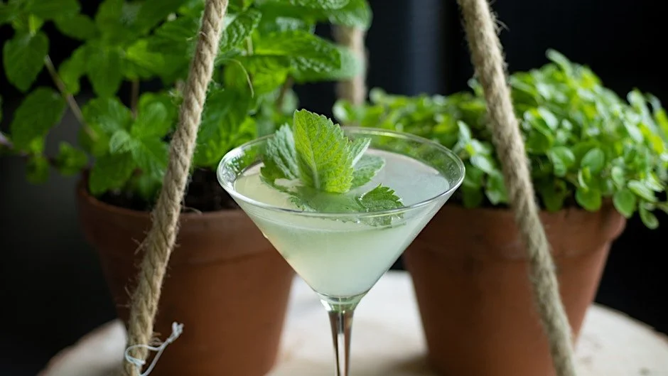 Specials — Earth at Hidden Pond