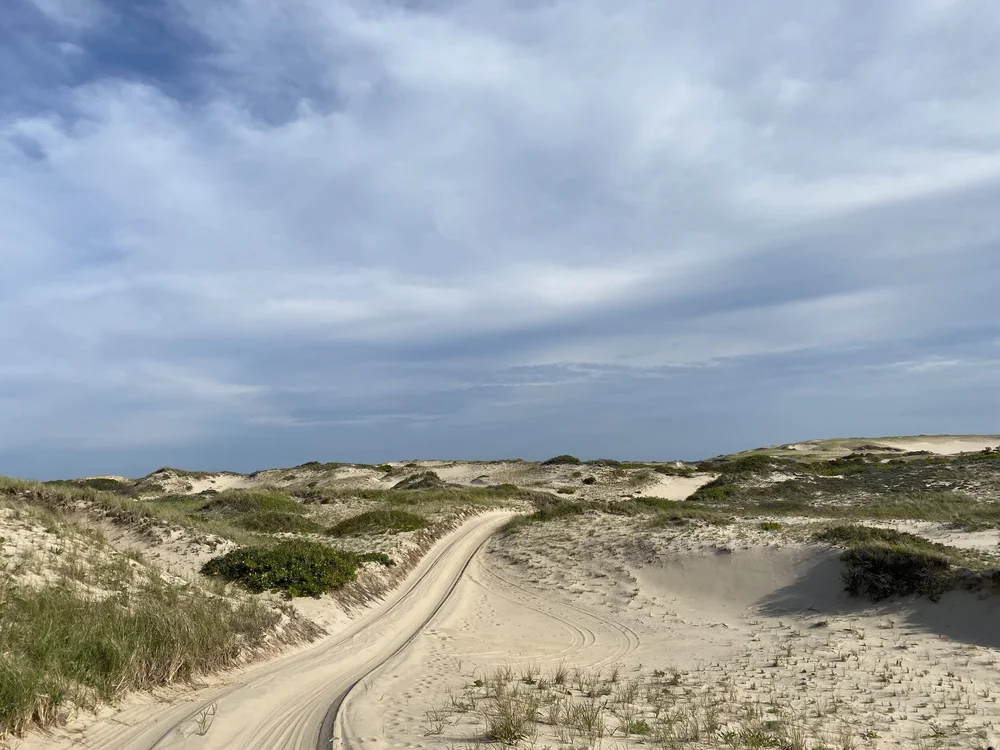 %p Cape Cod Seashore Dunes -Tickets -Dune Tours