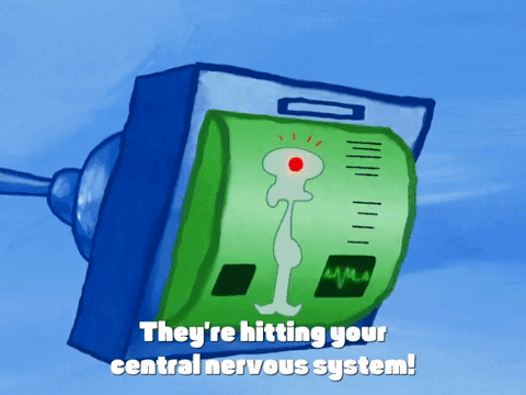 Nervous System: The Body’s Connection Network — Dr. Megan Marie, ND