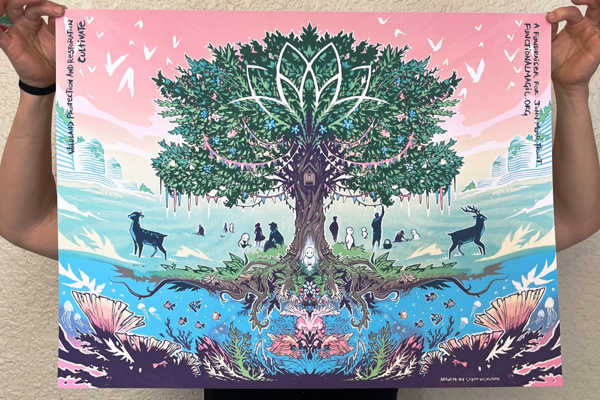 Drawdown Design Project — Functional Magic