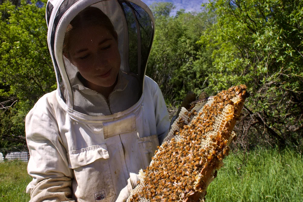 Home | Raw & Creamed Clover Blend Honey | Cardrona, Wanaka, Queenstown
