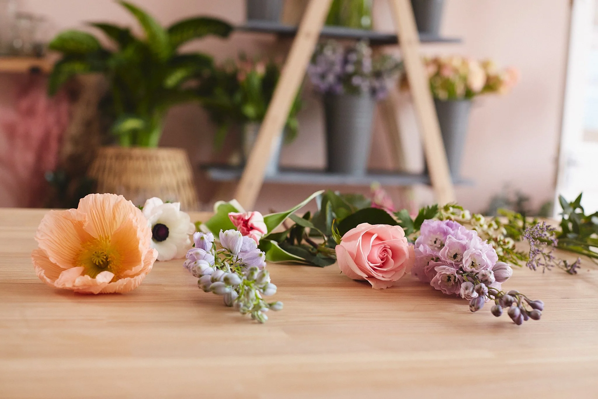 Workshops — Little Perth - Florist & Speciality Coffee Shop in Bournemouth