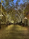 Jazz Night In Pioneer Square — Seattle Jazz Fellowship