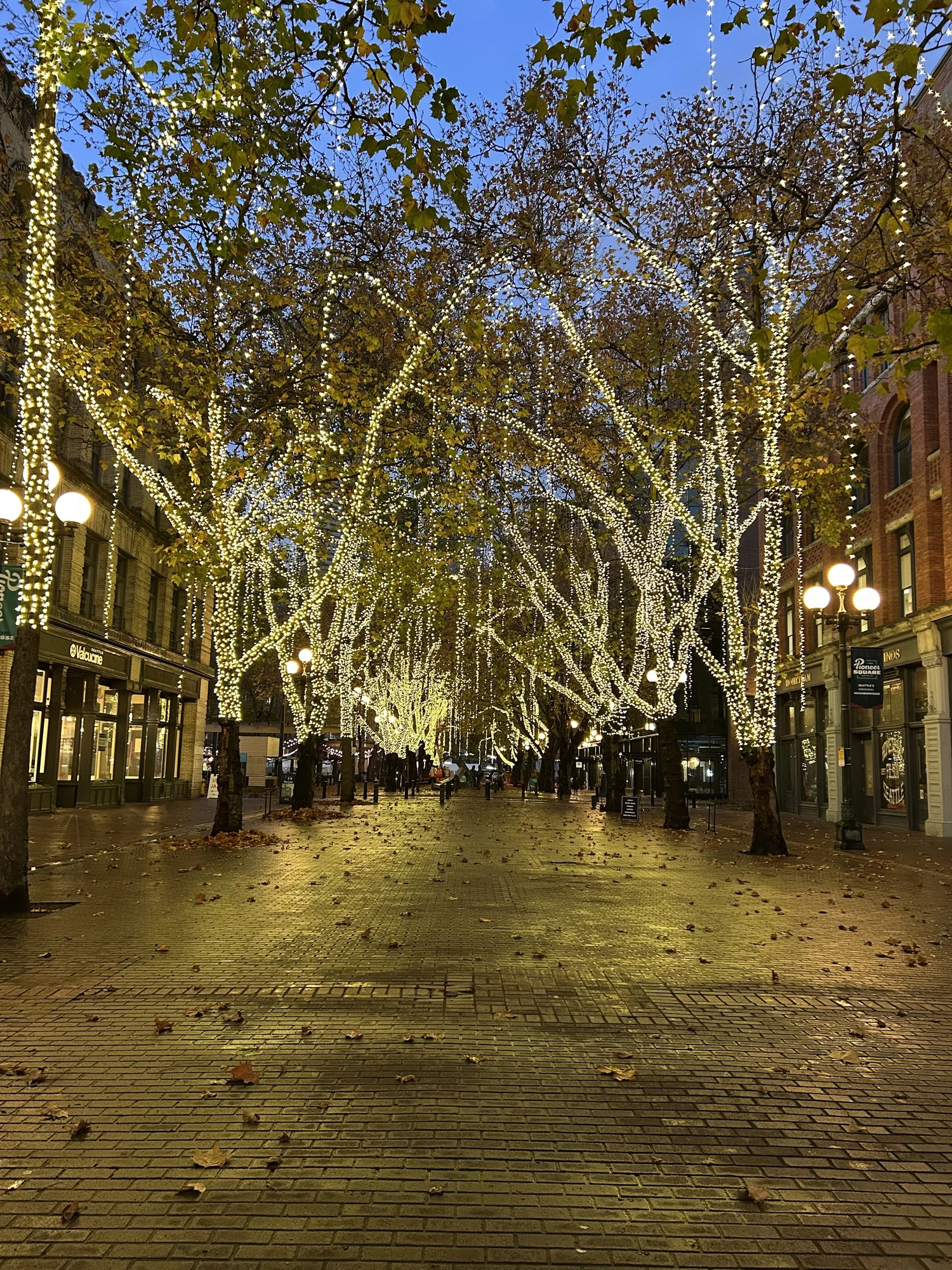 Jazz Night In Pioneer Square — Seattle Jazz Fellowship