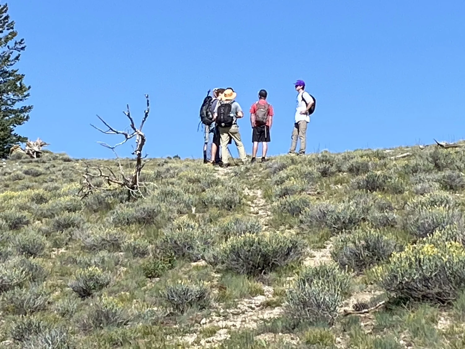 Backpacking Medicine Outline — Wild Med U