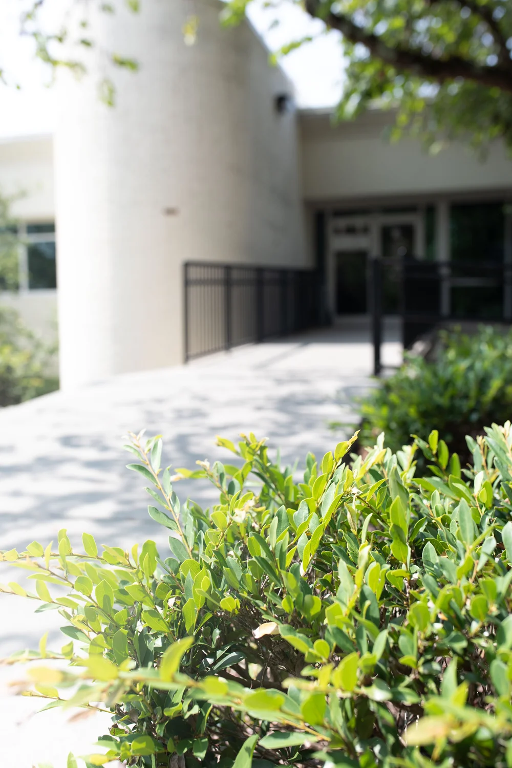 Our Services — Rheumatology Consultants, PLLC