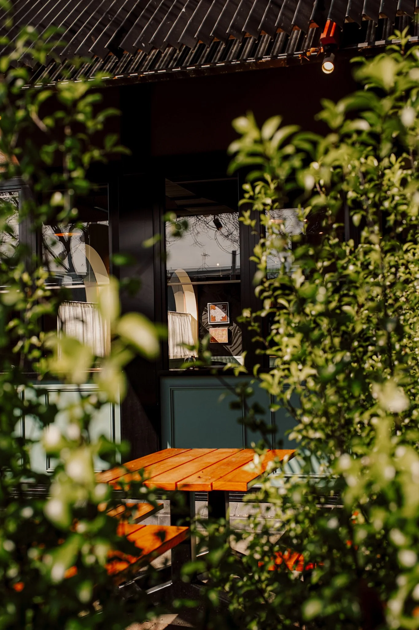 Corella Restaurant & Bar | Braddon | Open Lunch & Dinner