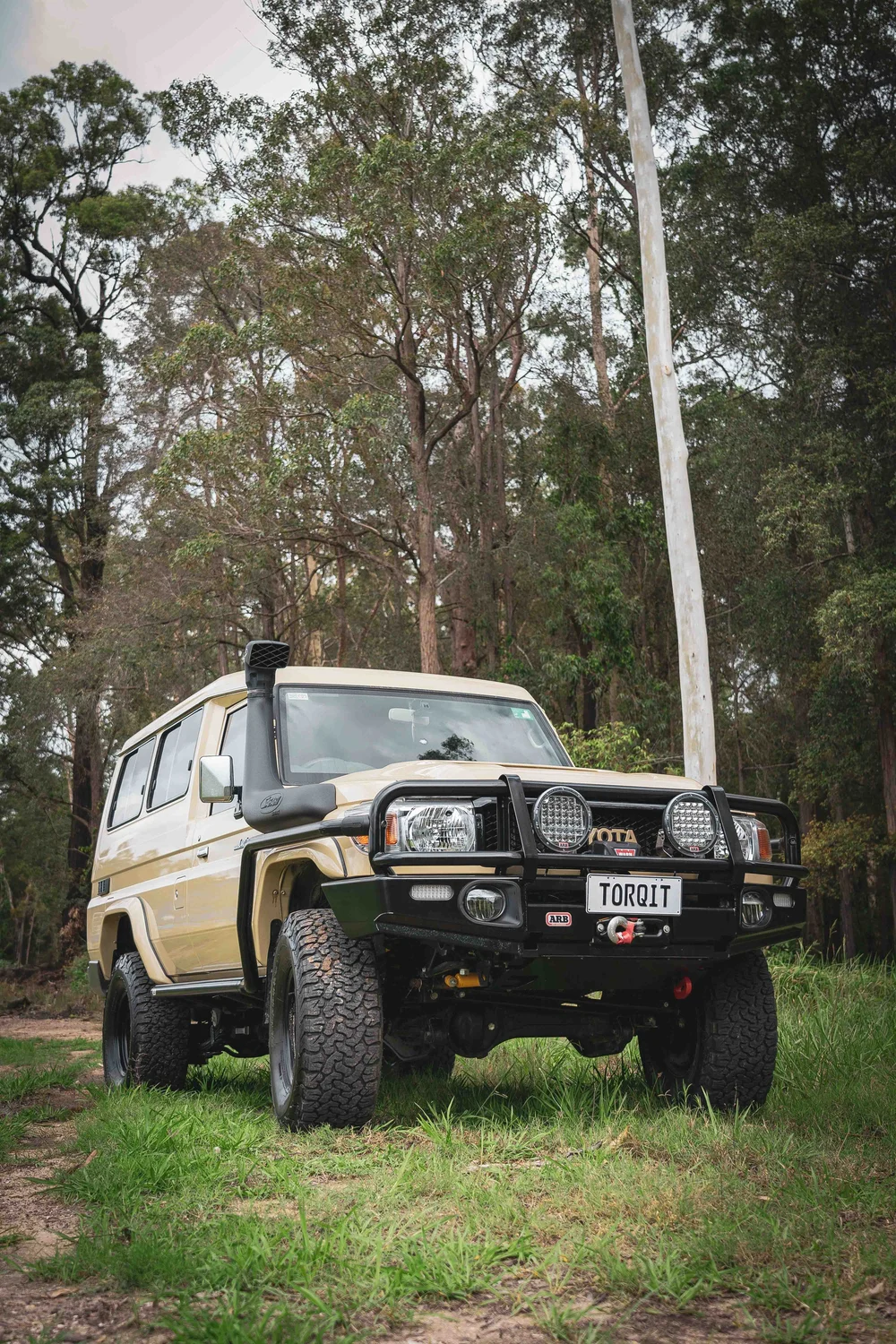 Torqit — Southern Car Care