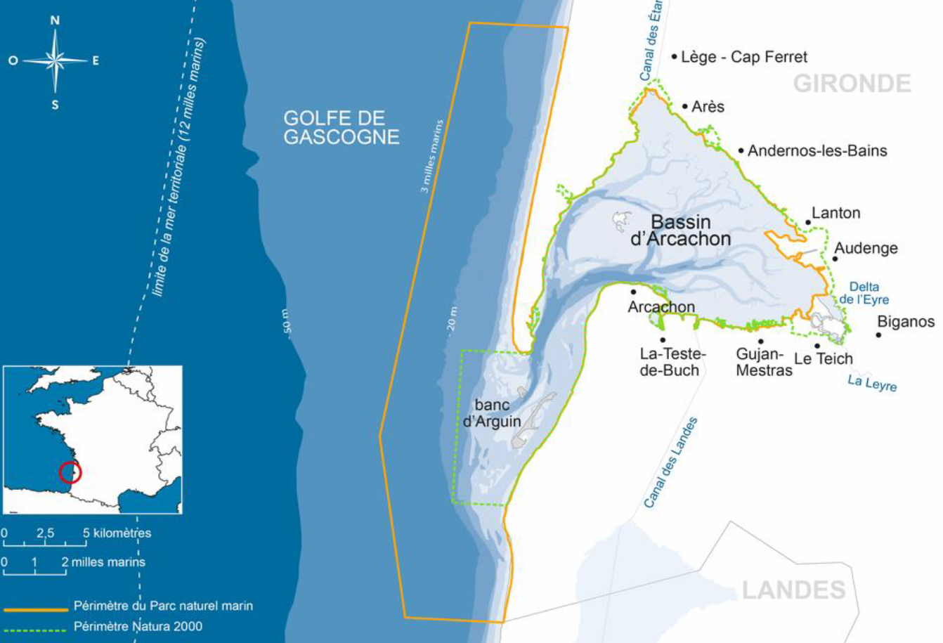 Seascape Connectivity Modelling Knowledge Exchange Workshop — Oxford ...