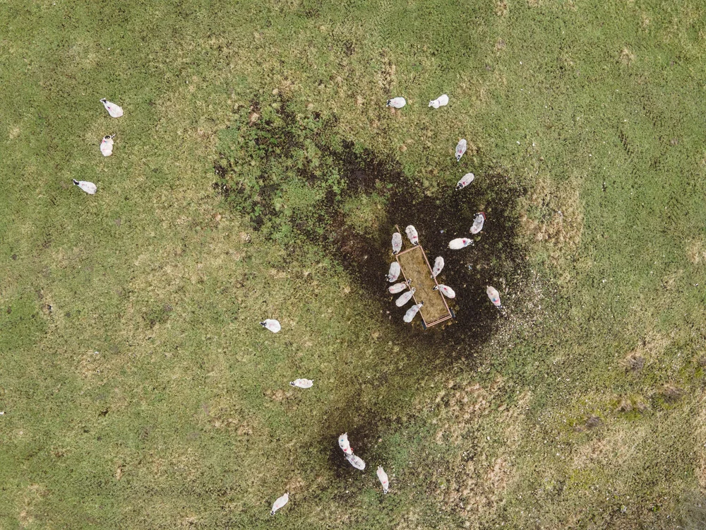 Resources — Yan Farm Health