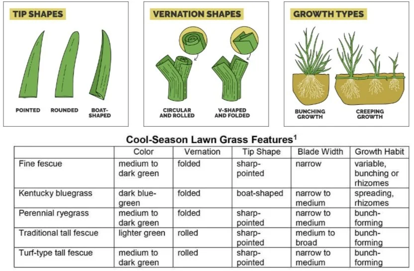 VanGreen Lawn Care - Hamilton Ontario Lawn Care, Landscape Maintenance ...