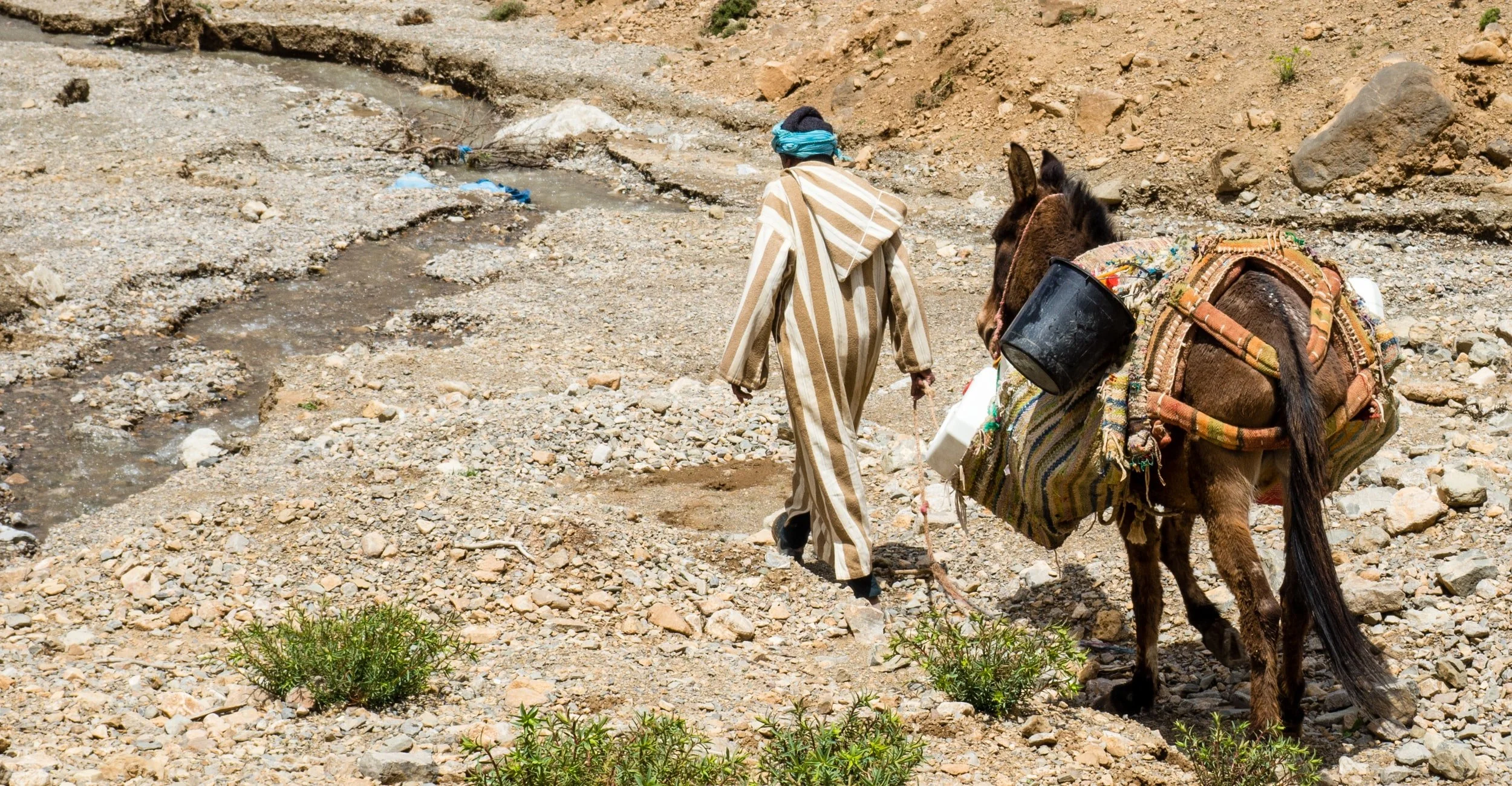 Study Tamazight (Berber Language) Online or In Morocco — CROSSROADS ...