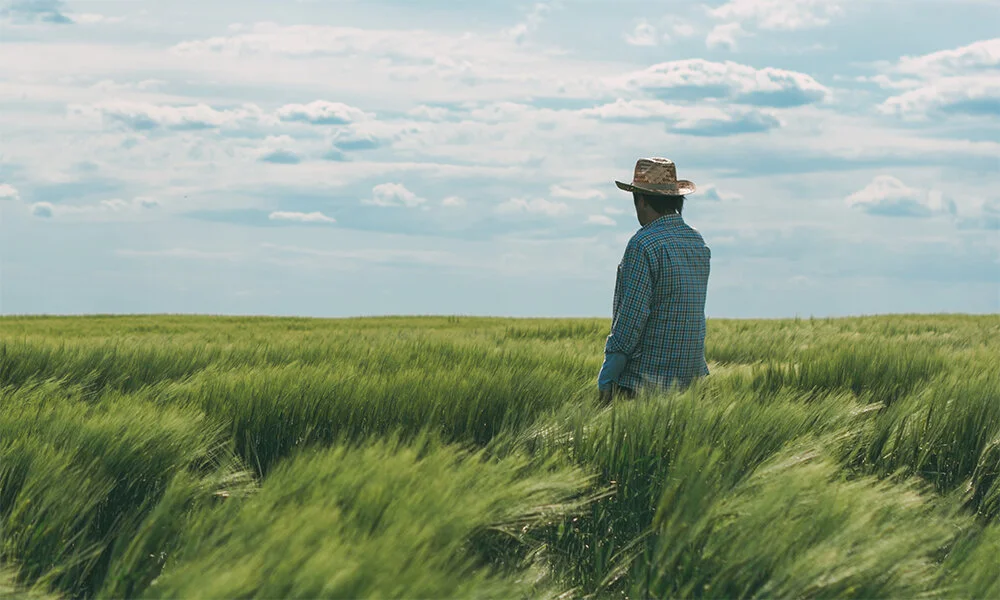 RealX Ventures — Striking Alchemy