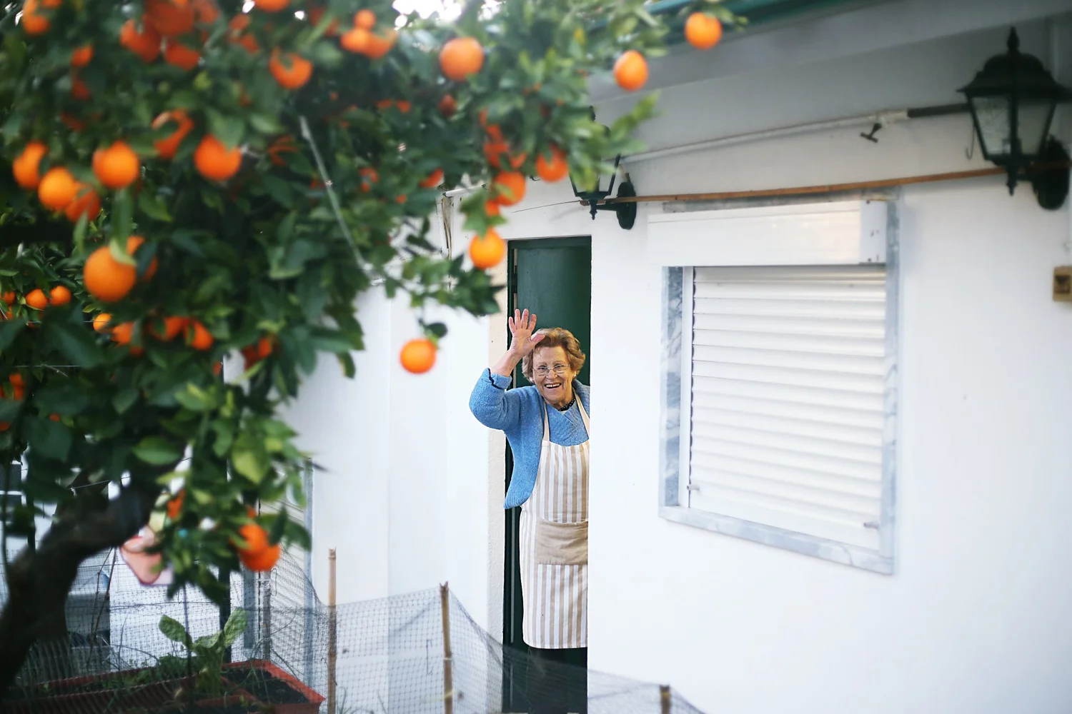 Food Photography — Nourish With Nish