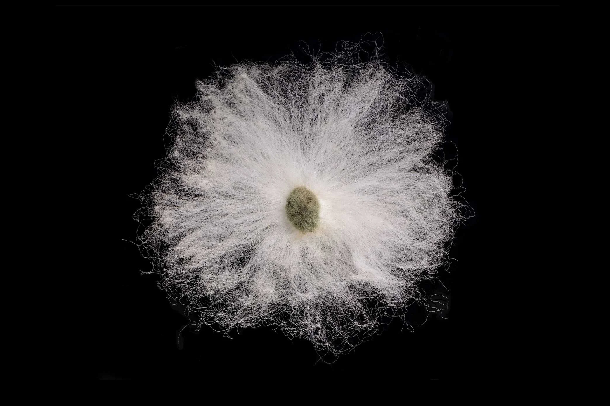 About us — MATERRA®