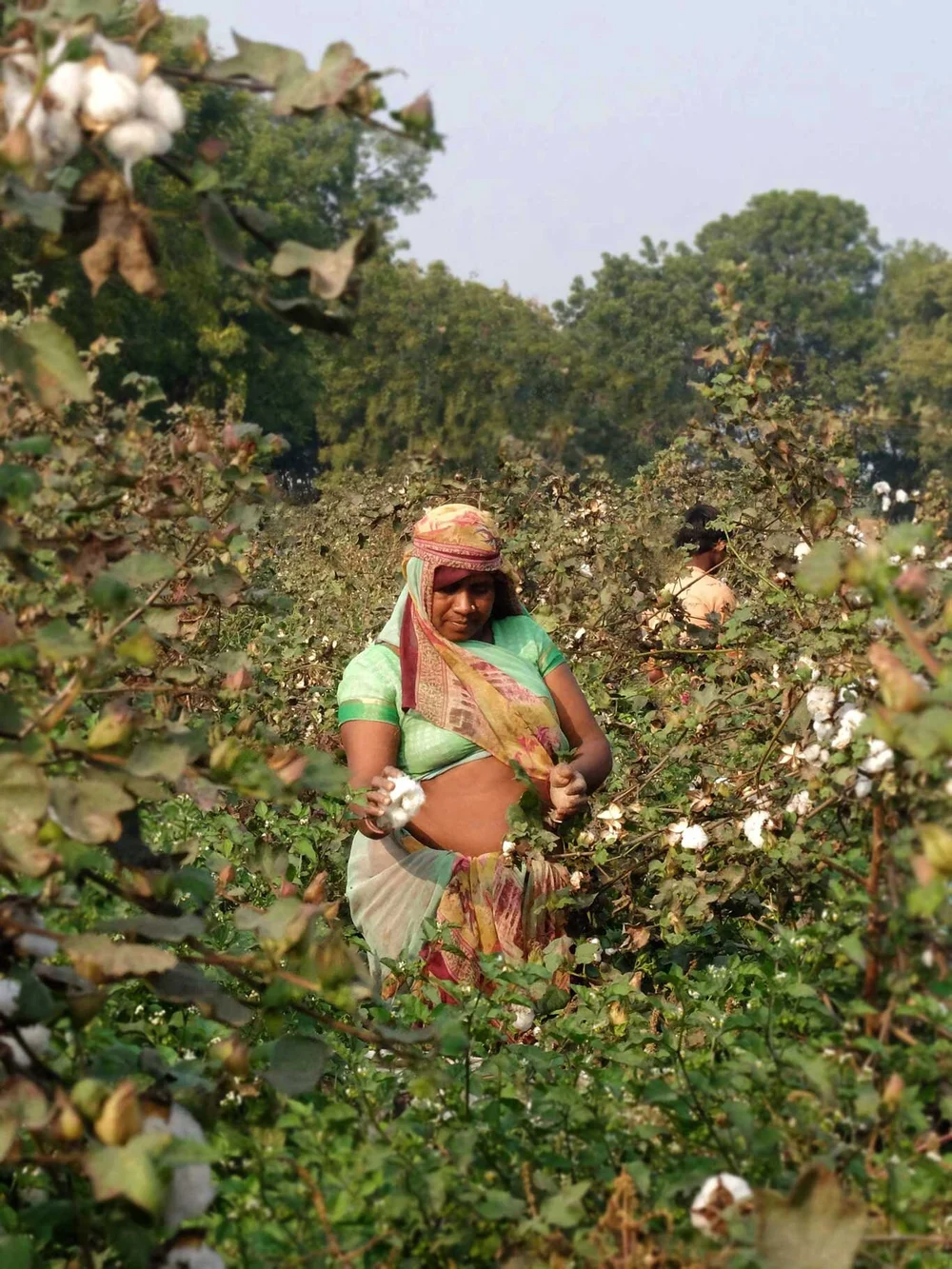 Our impact — MATERRA®