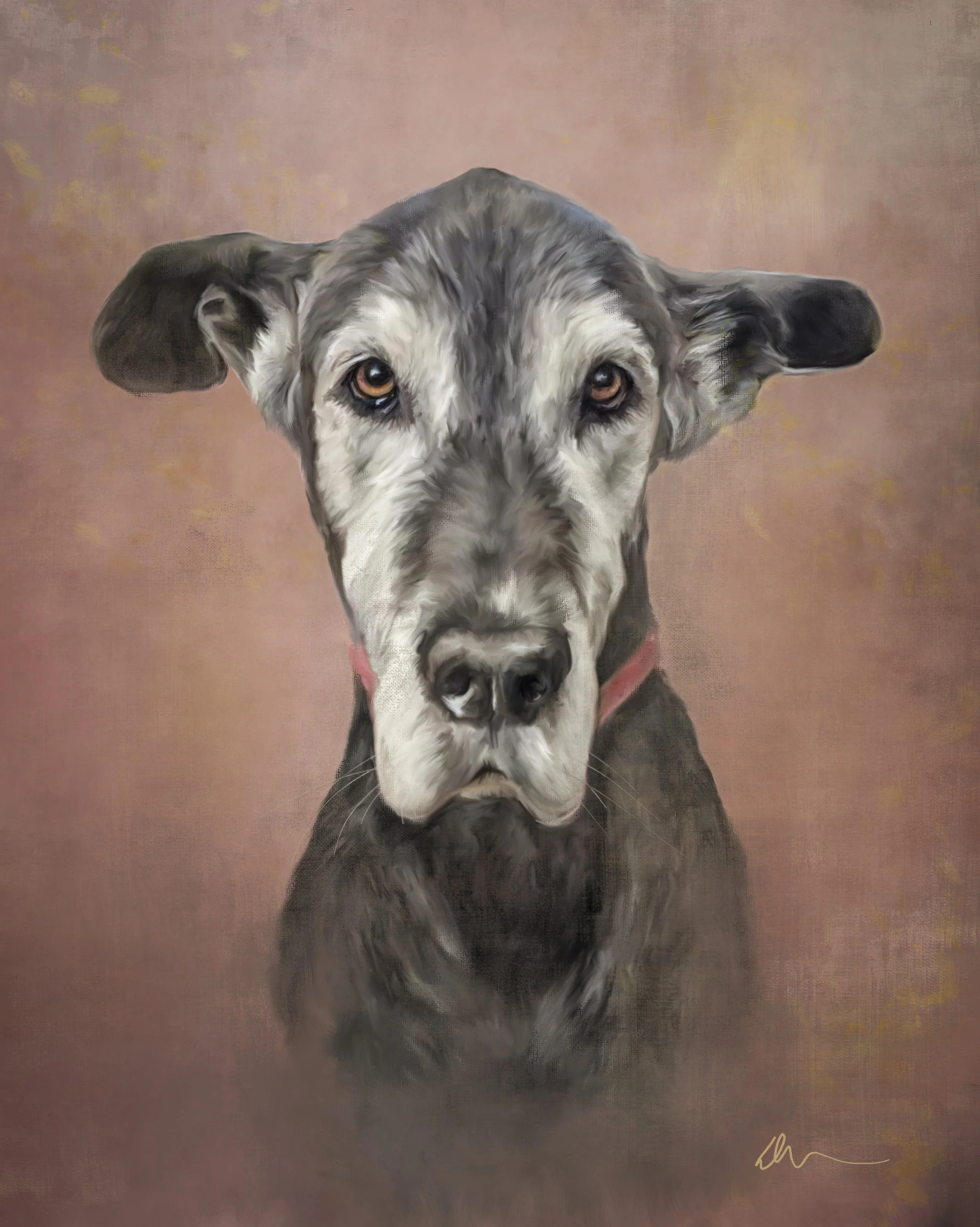 Pouka Shop — Pouka Art & Photography