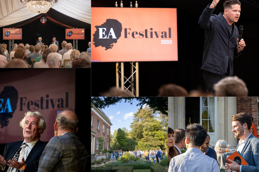 EA Festival, an art and culture festival in East Anglia
