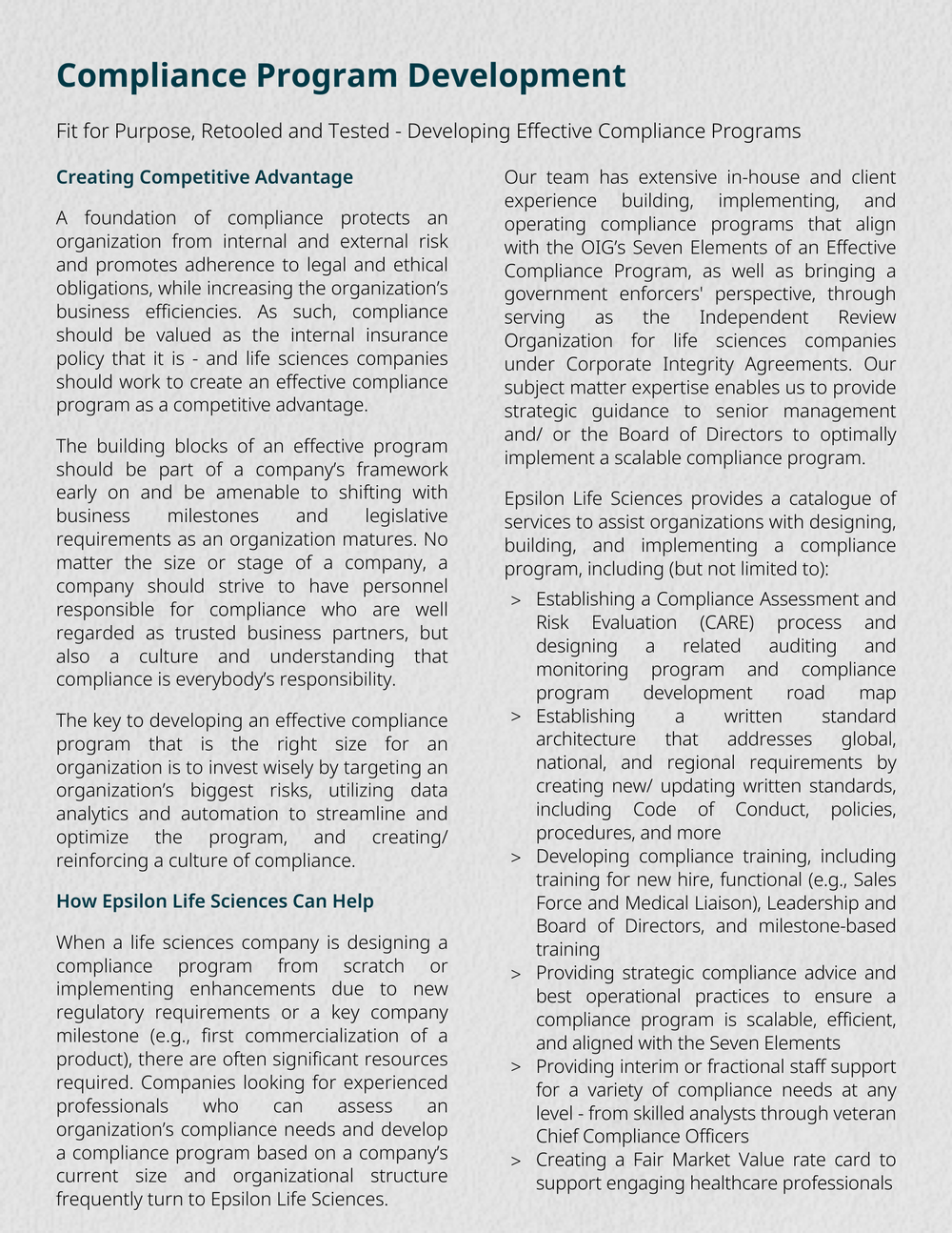 Compliance Program Development — Epsilon Life Sciences