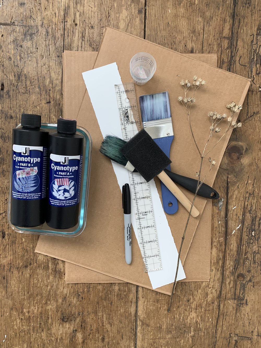 Cyanotype Test Strip Tutorial — Blue Ridge Botanic