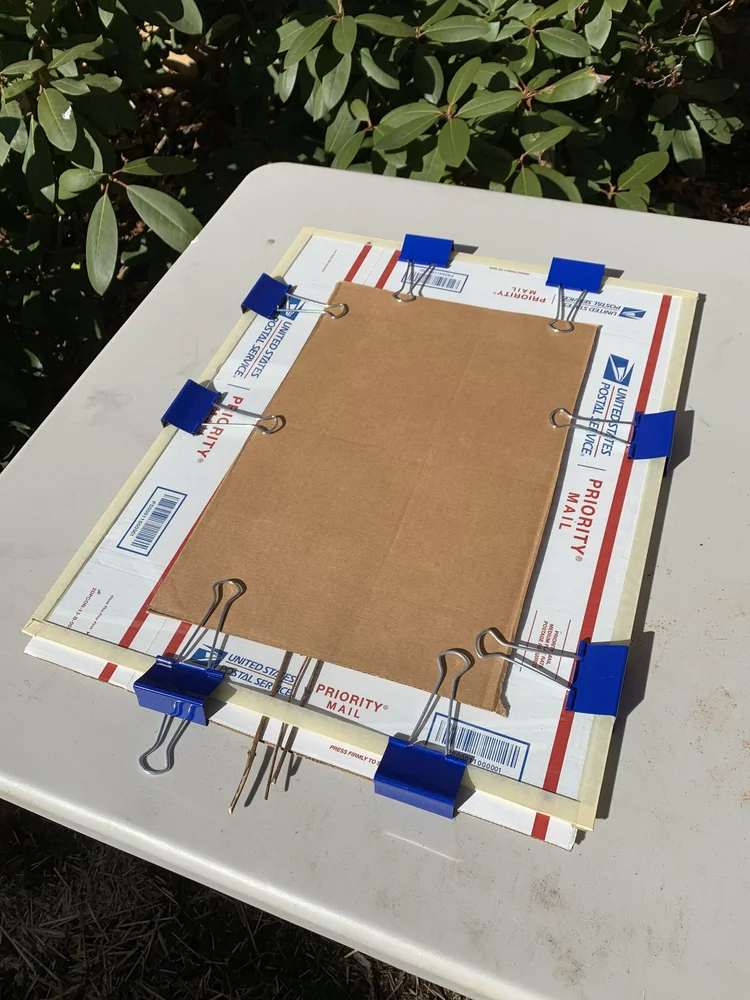 Cyanotype Tutorial — Blue Ridge Botanic