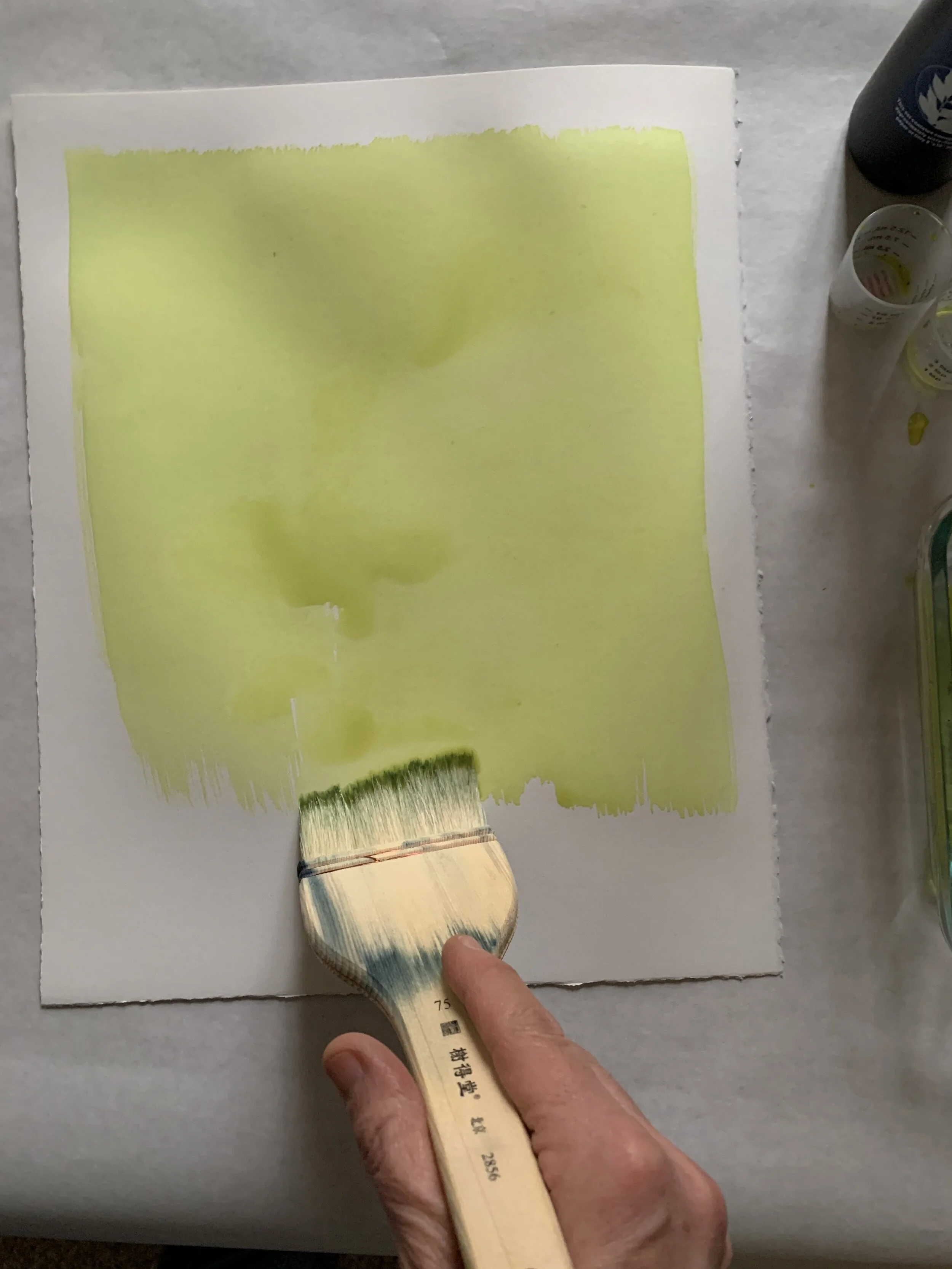 Cyanotype Tutorial — Blue Ridge Botanic