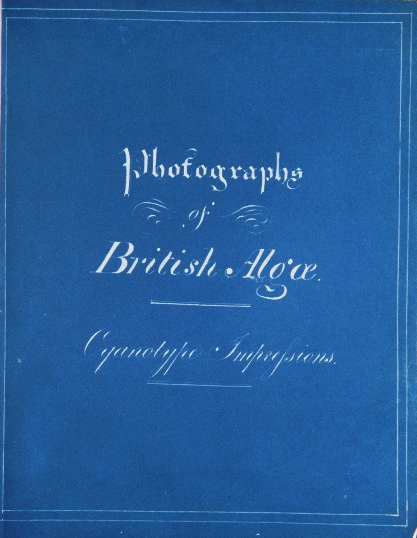 Anna Atkins: Scientist, Artist & Innovator — Blue Ridge Botanic