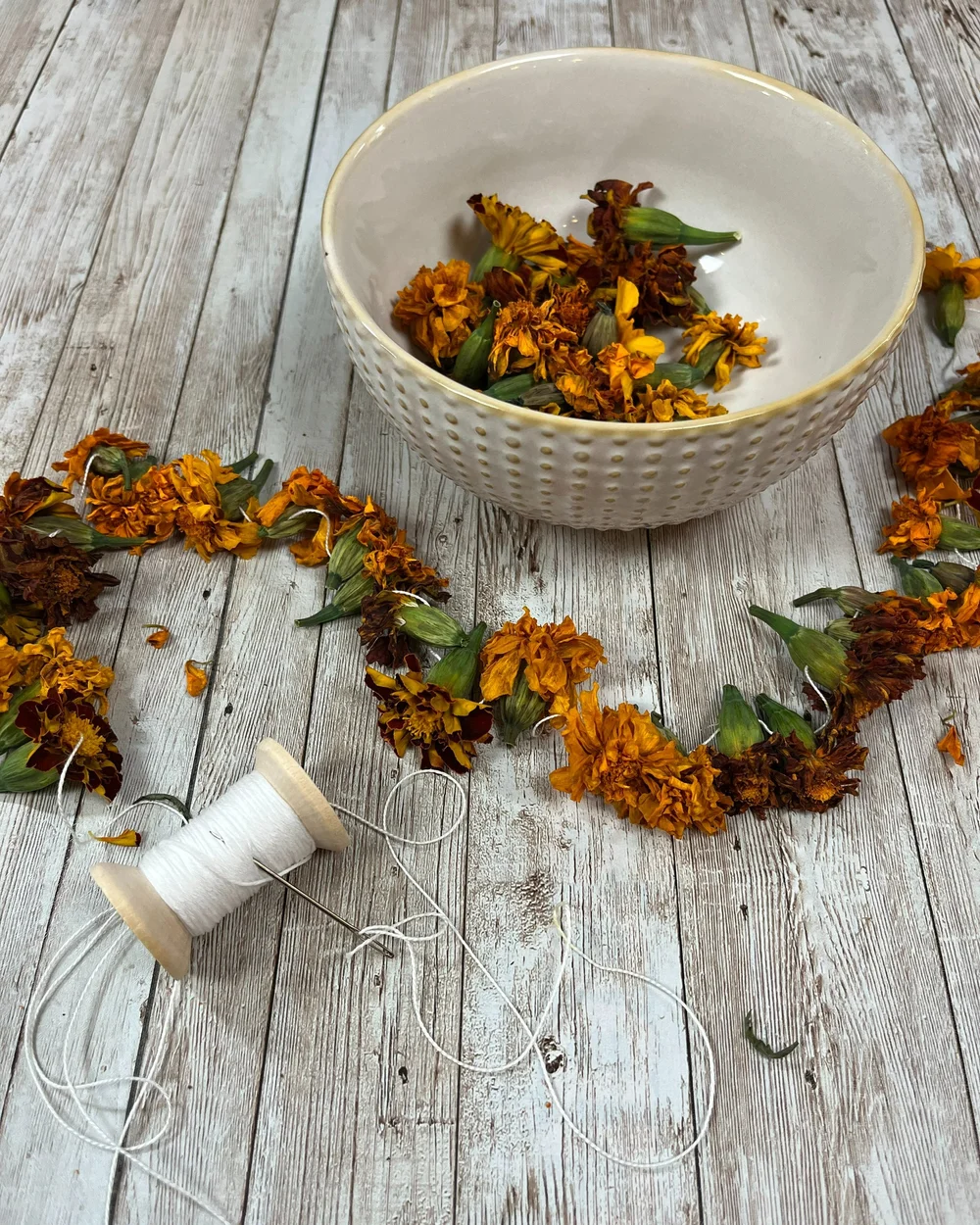 Marigolds: A Sunny Little Flower with a Rich & Colorful History — Blue ...