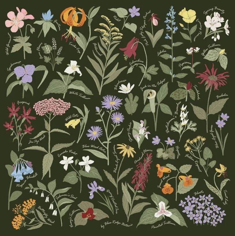 Shop Blue Ridge Botanic — Blue Ridge Botanic