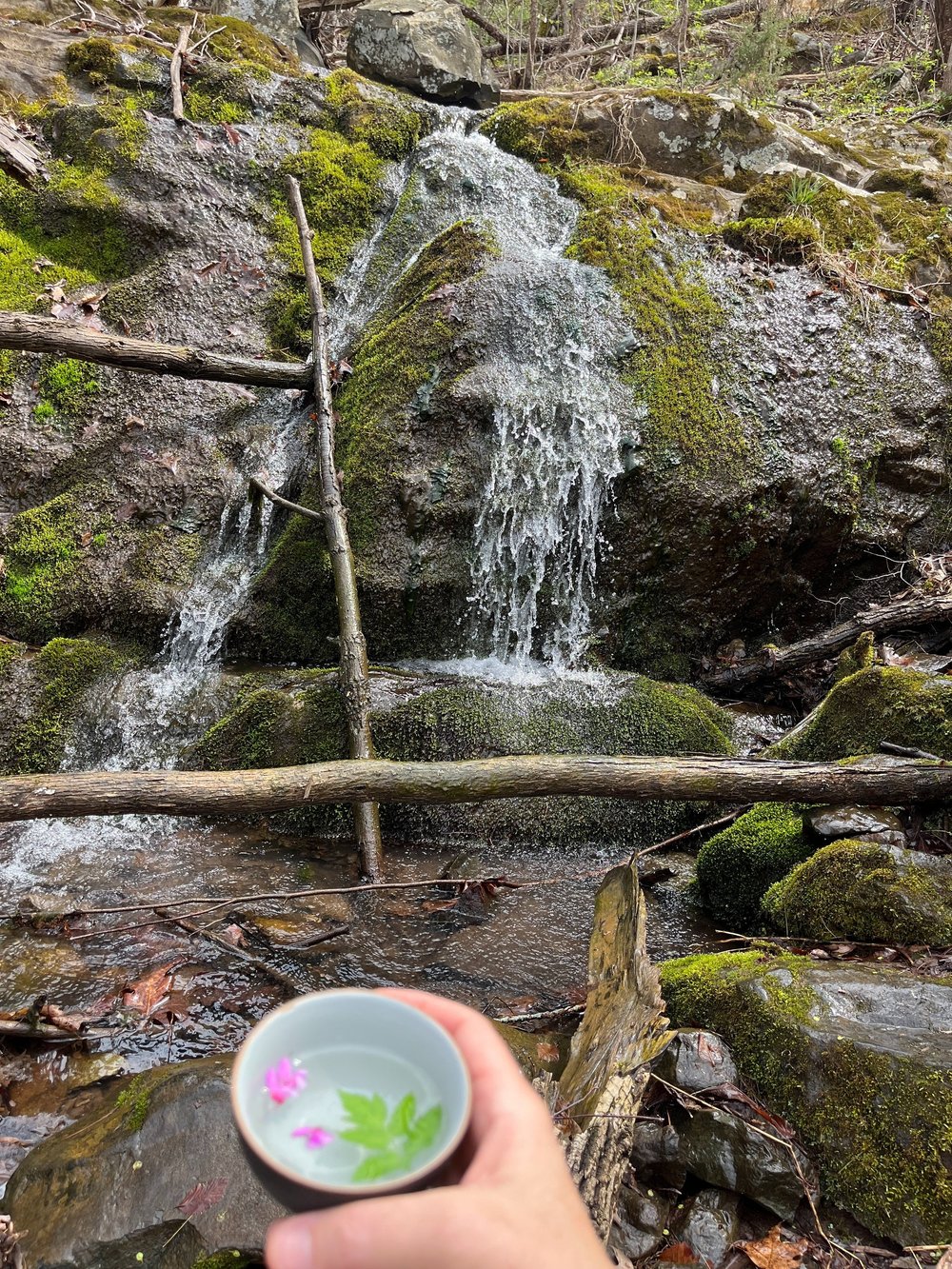 Blue Ridge Botanic