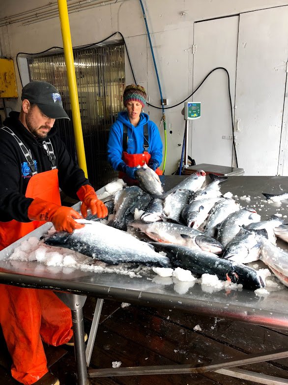 Shop Our Wild Alaskan Seafood — Yakobi Fisheries