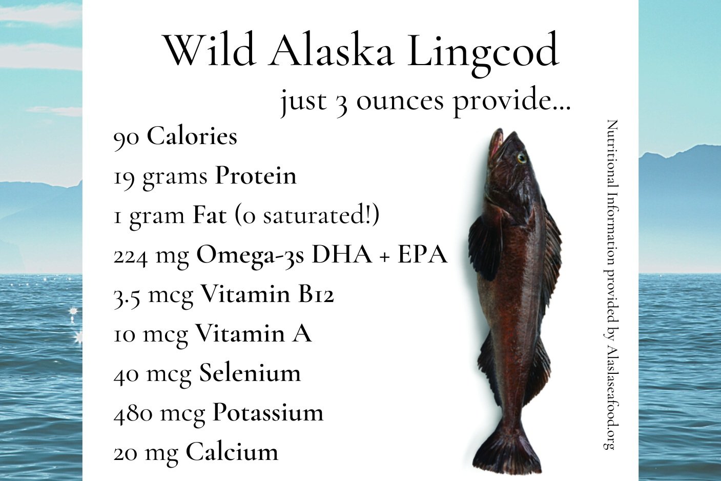 Wild Alaskan Halibut Pre-order — Yakobi Fisheries