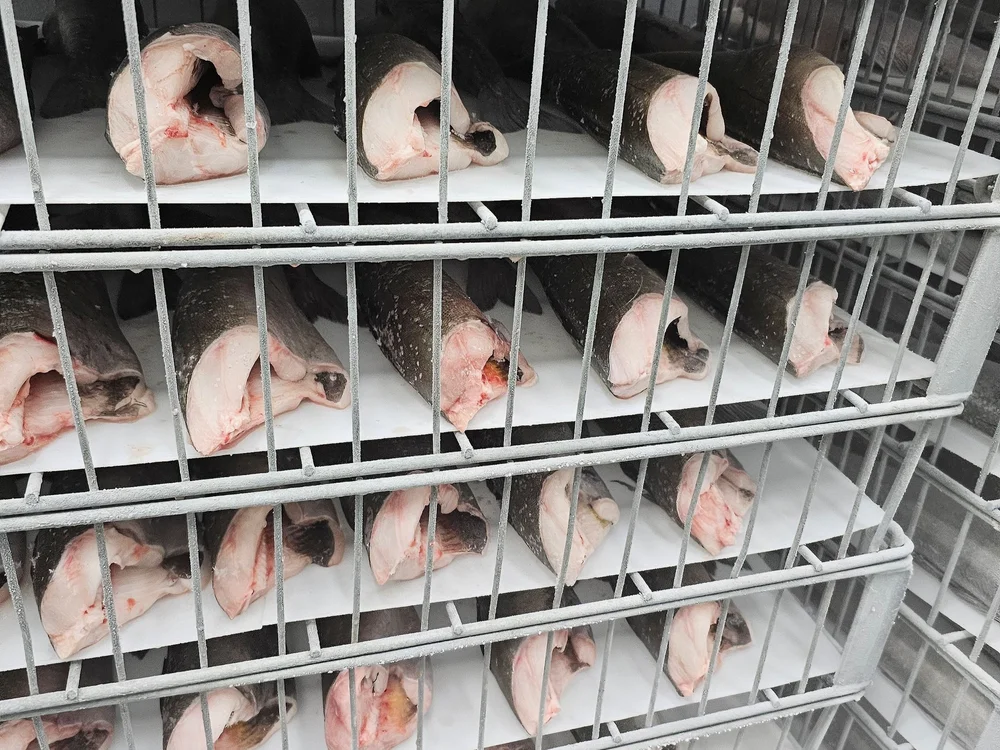 Shop Our Wild Alaskan Seafood — Yakobi Fisheries