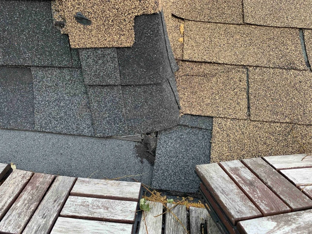 Shingle Roofing — ALPHA ROOFING