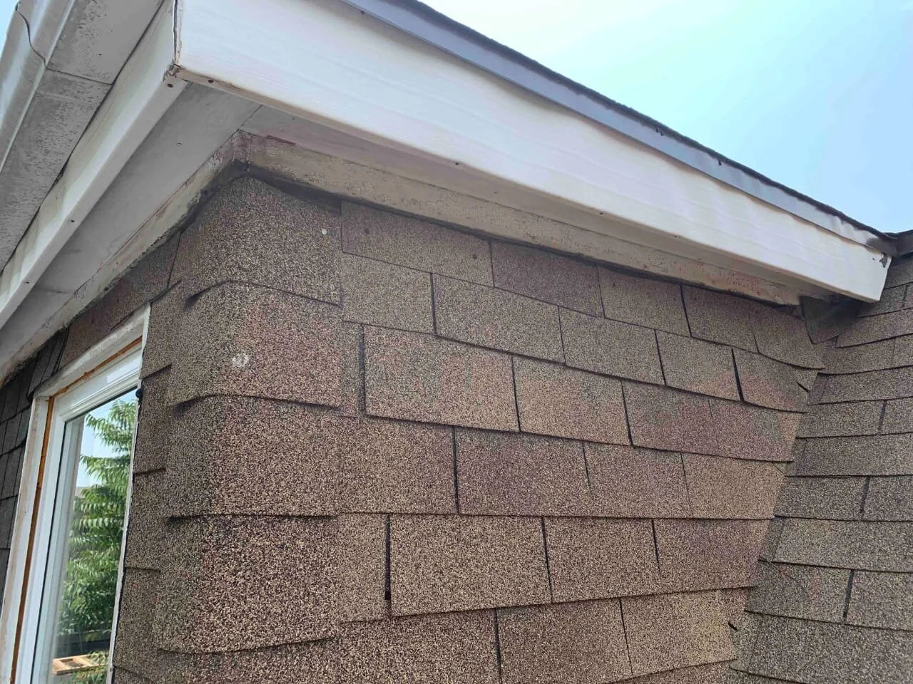 Shingle Roofing — ALPHA ROOFING