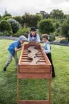 Wall Ball Maze Woodworking Plan — Woodbotherer Games