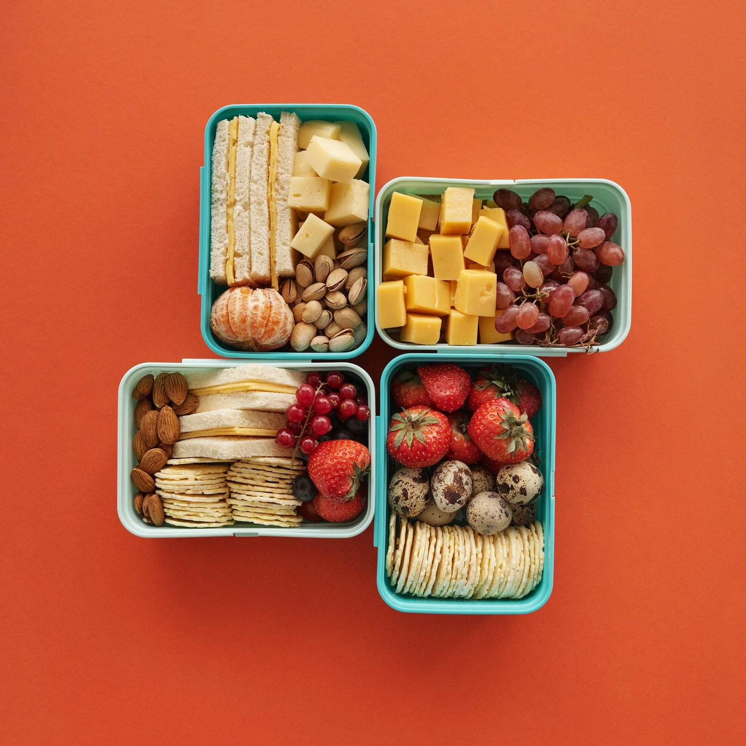 Dr Emma Beckett - Food & Nutrition Scientist