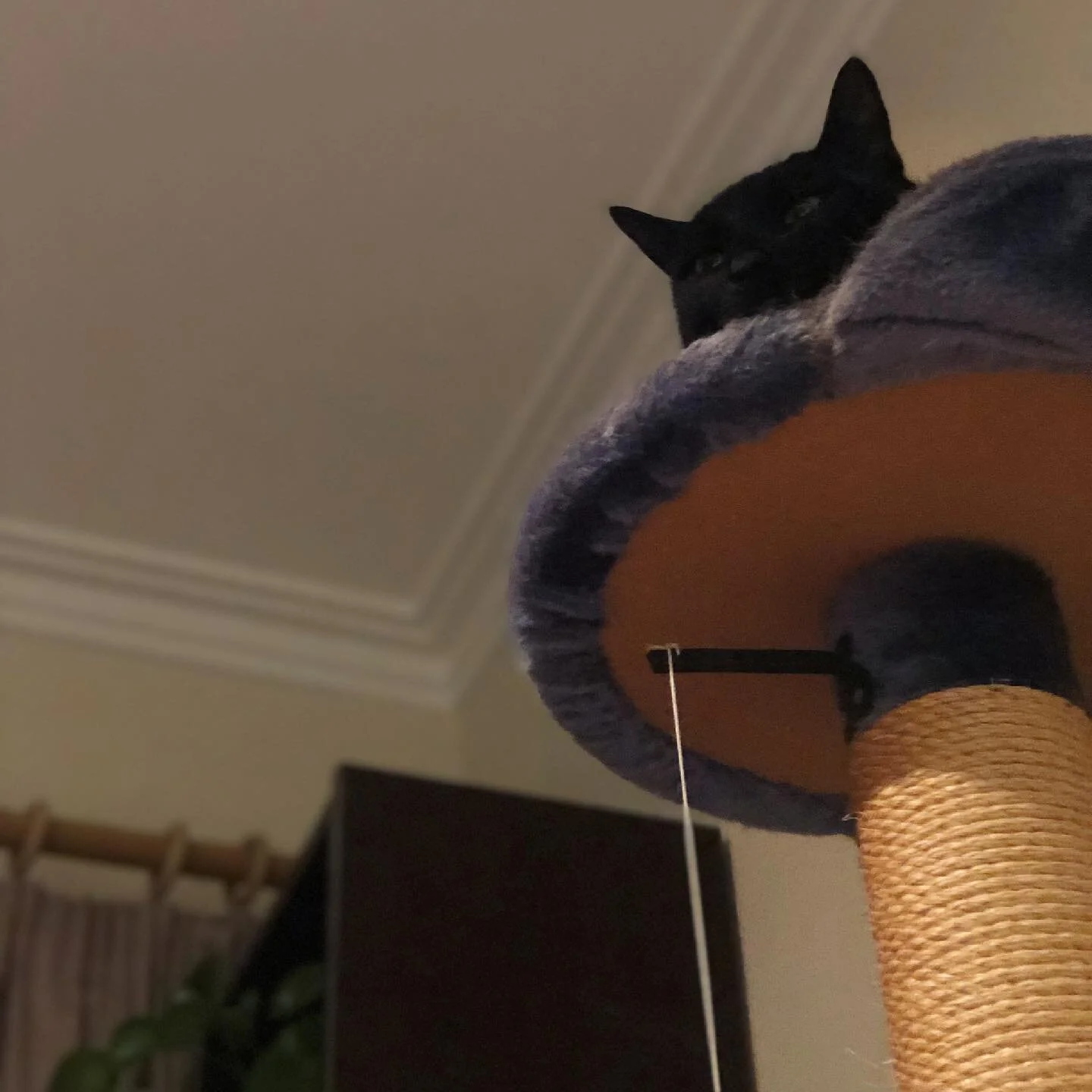 Dr Emma Beckett - Food & Nutrition Scientist