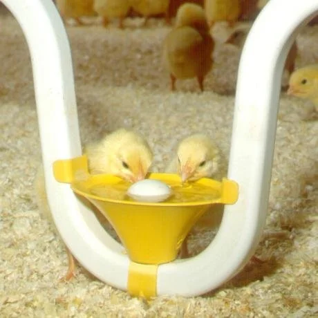 POULTRY DRINKING — ECODOME