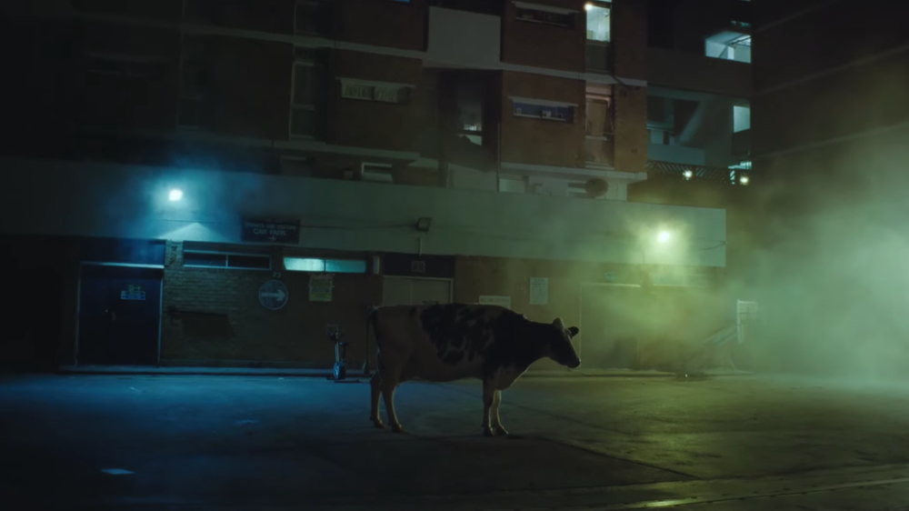 About Catherine Bray