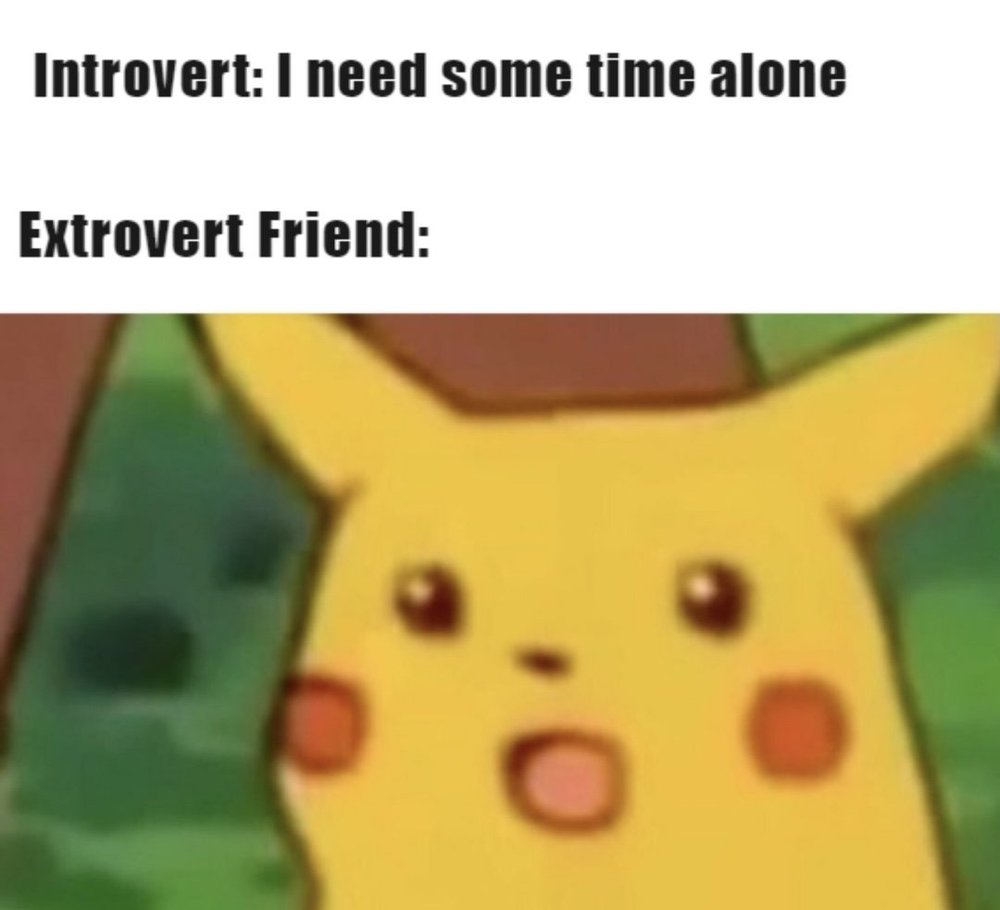 41 Really Relatable Memes to Make an Introvert Smile