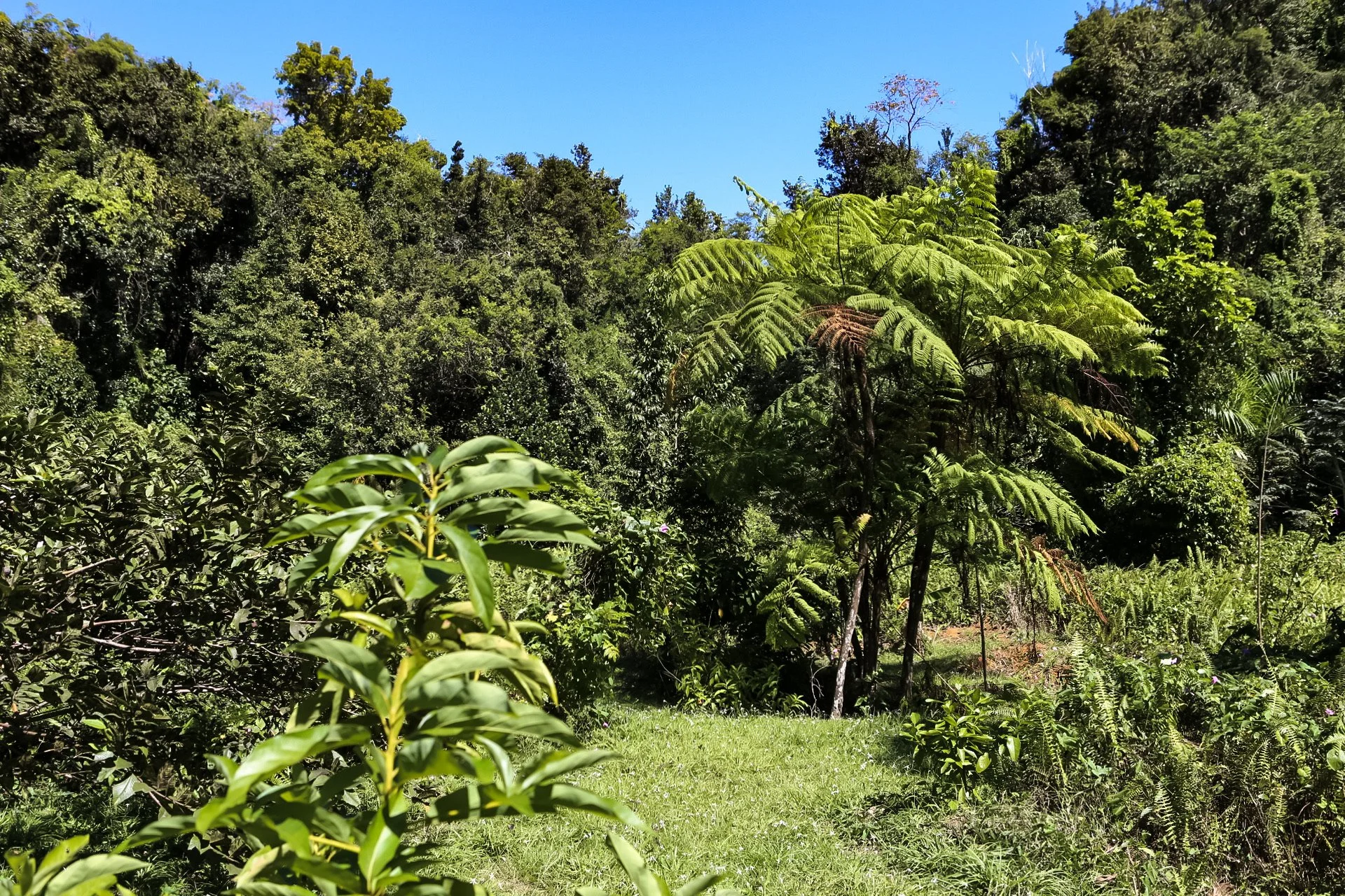 Servicios — Finca Gaia