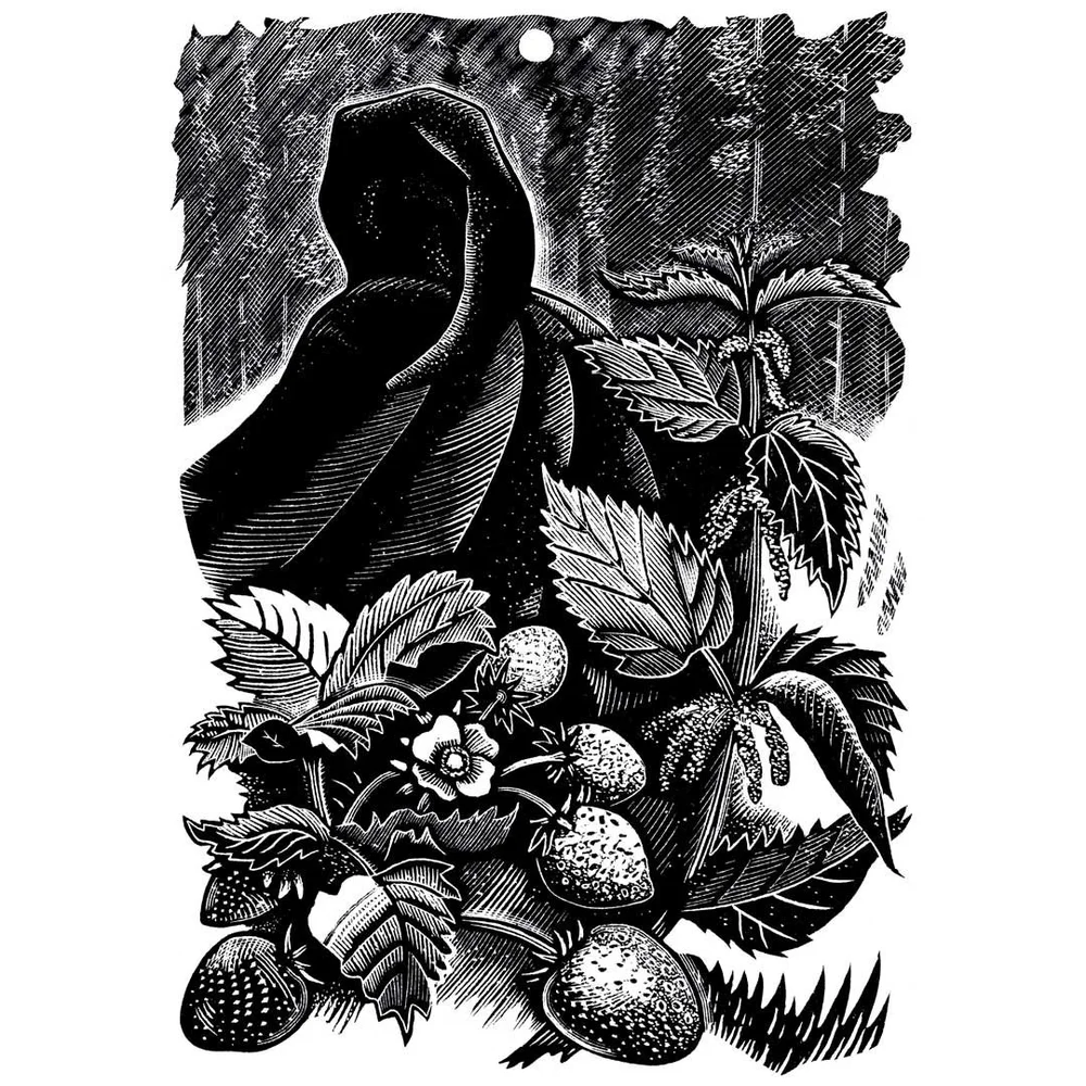 Illustration — Robin Mackenzie