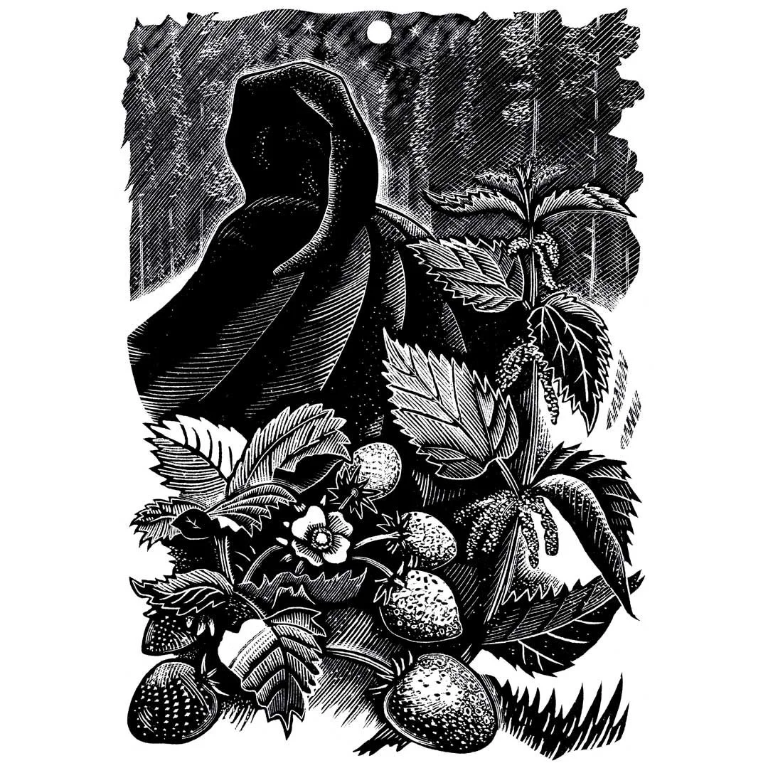 Illustration — Robin Mackenzie