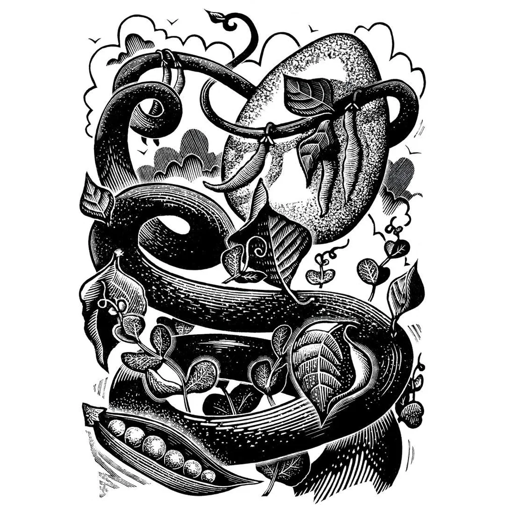 Illustration — Robin Mackenzie