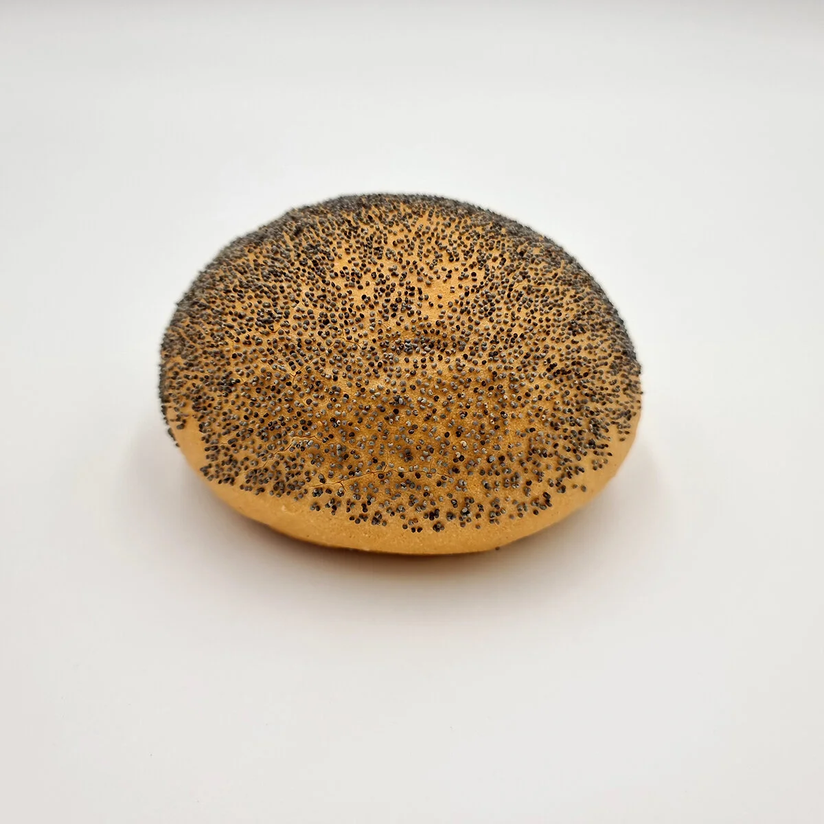 Harde Witte Bol — Bakkerij Visser 't Stoepje