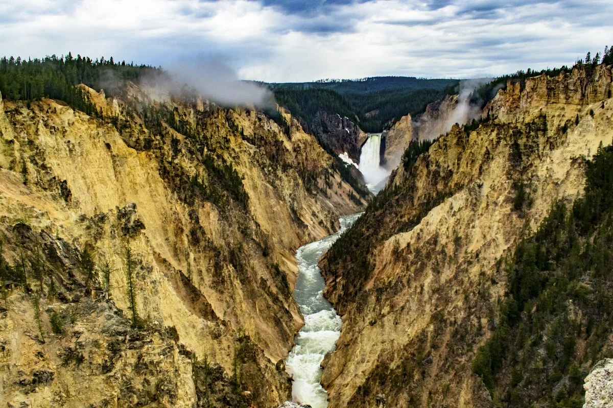 YELLOWSTONE: Spring Photography — Experience Wildlife