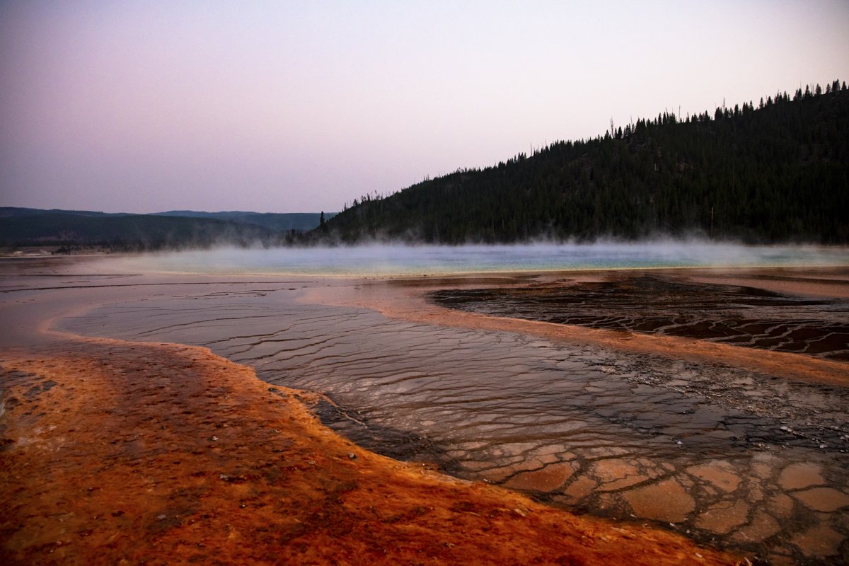 YELLOWSTONE: Spring Photography — Experience Wildlife